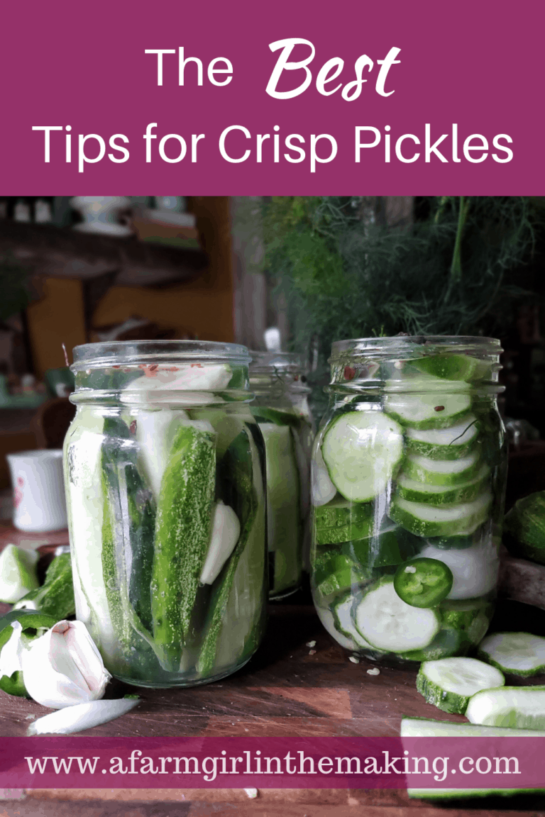 6 Tips for Crisp Pickles | Prevent Soft Pickles | A Farm Girl in the Making