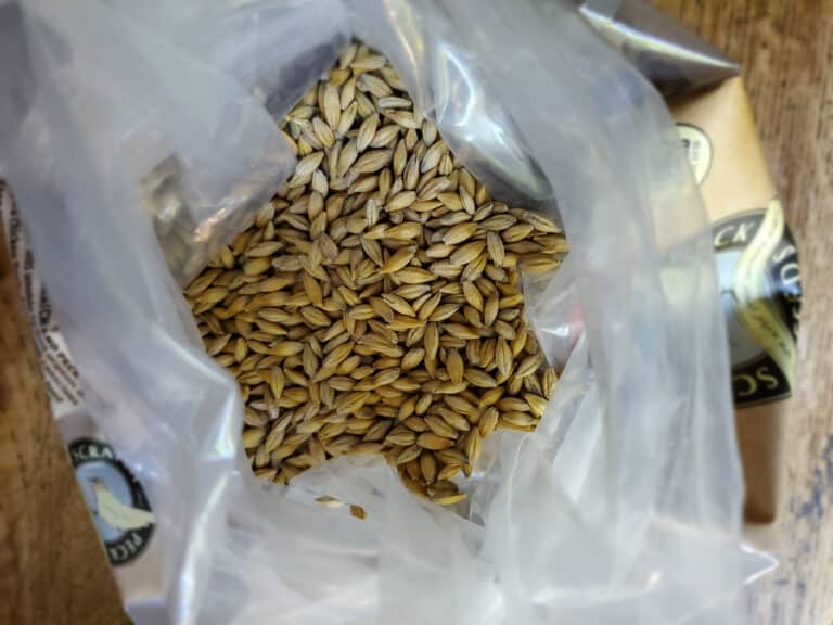 Sprouting Barley Grains for Poultry | A Farm Girl in the Making