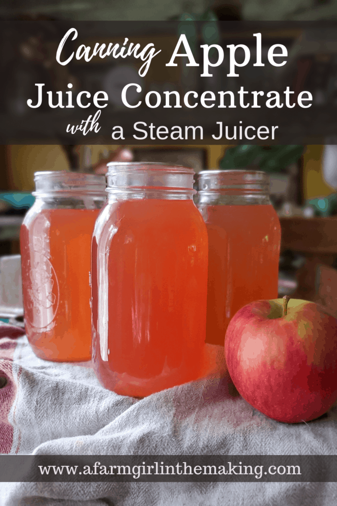 Canning Apple Juice Concentrate | A Farm Girl in the Making