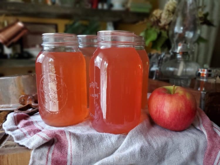 Canning Apple Juice Concentrate | A Farm Girl in the Making