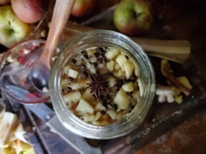 Spiced Apple Shrub - a Fall Drinking Vinegar | A Farm Girl in the Making