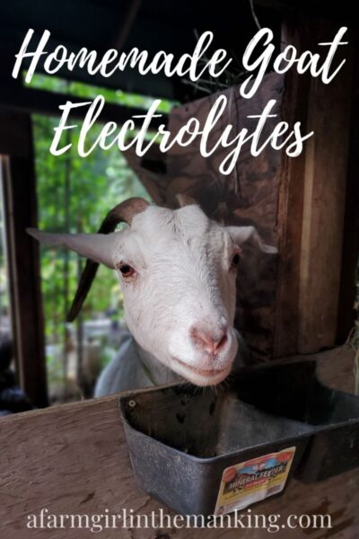 Homemade Goat Electrolyte | A Farm Girl in the Making