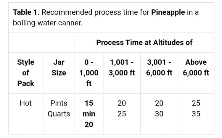 Canning Pineapple with these Easy Steps | A Farm Girl in the Making