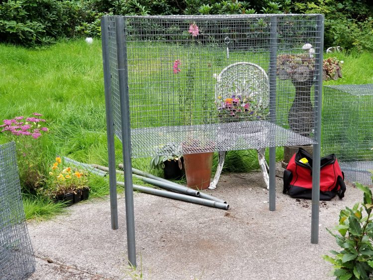 Housing Meat Rabbits | Rabbit Housing Options | A Farm Girl in the Making