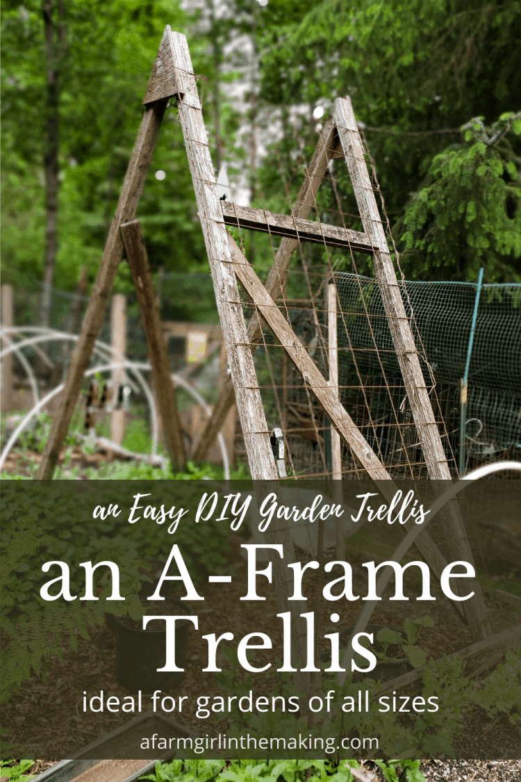 Build an A-Frame Trellis for the Garden | A Farm Girl in the Making
