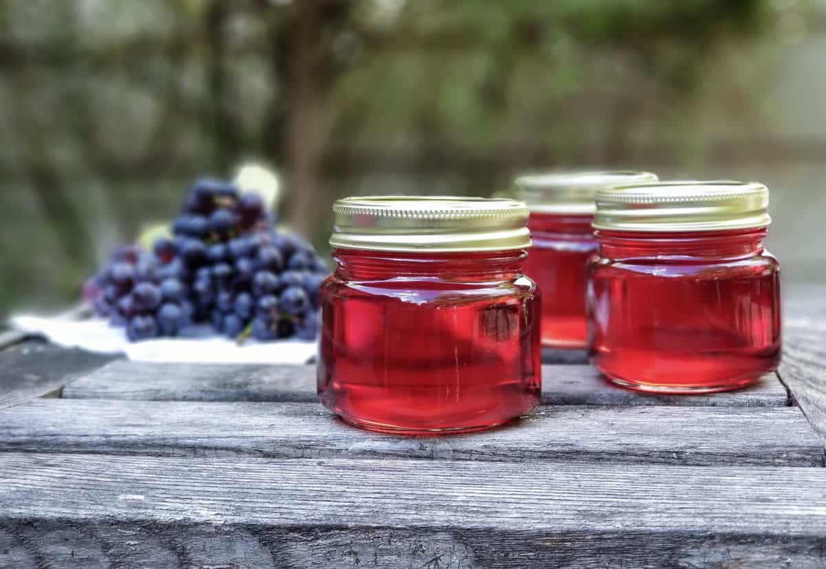 How To Use A Steam Juicer for Jelly, Juice and Fruit Leather | A Farm ...
