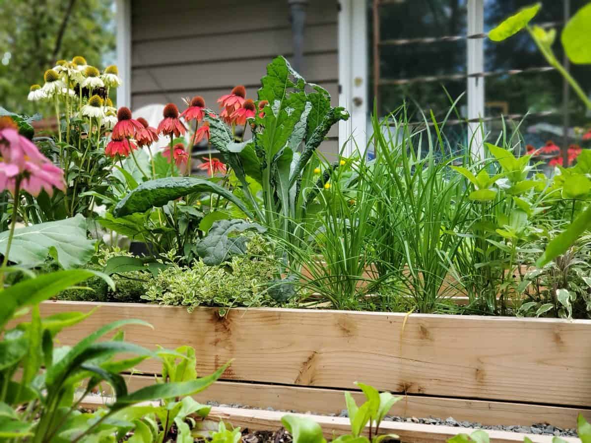 Designing a Potager Garden or a Small Kitchen Garden