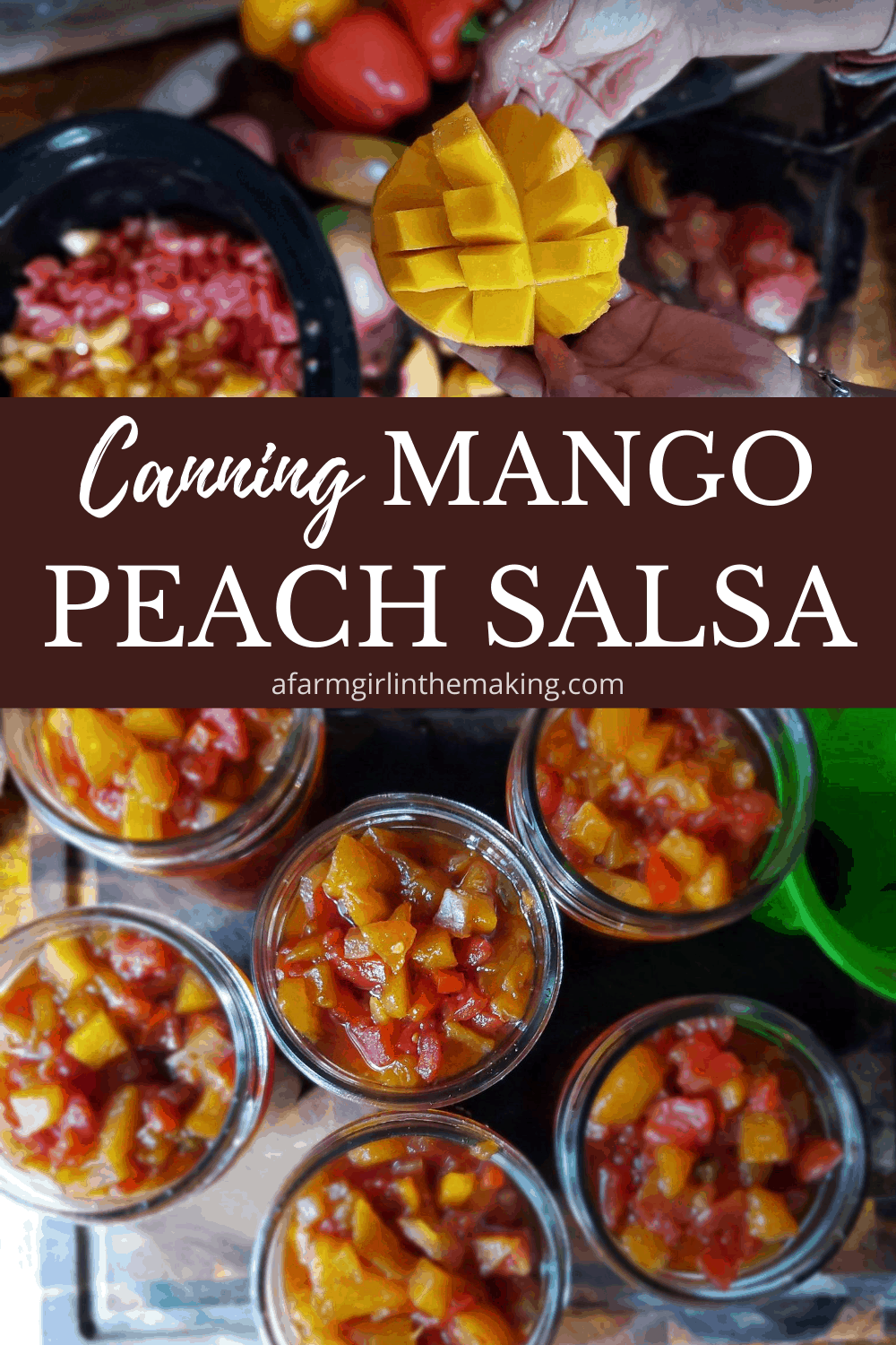 Mango Peach Salsa with Canning Tips | A Farm Girl in the Making