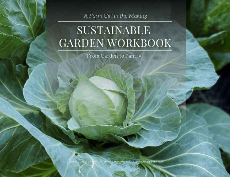 old fashioned raspberry cordial - a sweet cocktail sipper for adults