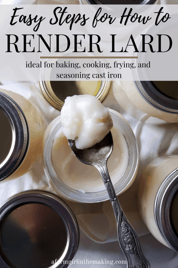 How to Render Lard using a Slow Cooker | A Farm Girl in the Making