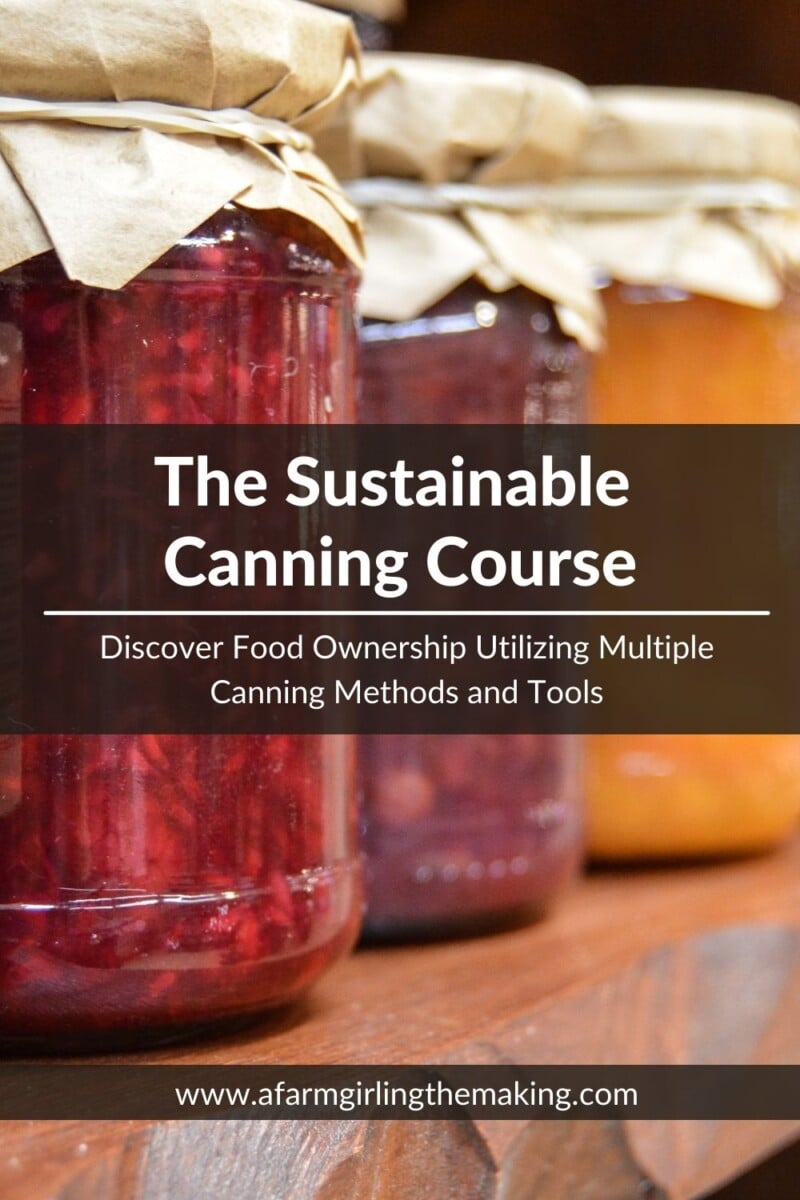 Canning Pineapple with these Easy Steps | A Farm Girl in the Making