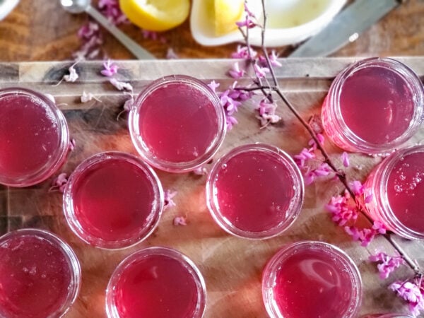 How to Can Redbud Jelly | A Flower Jelly | A Farm Girl in the Making